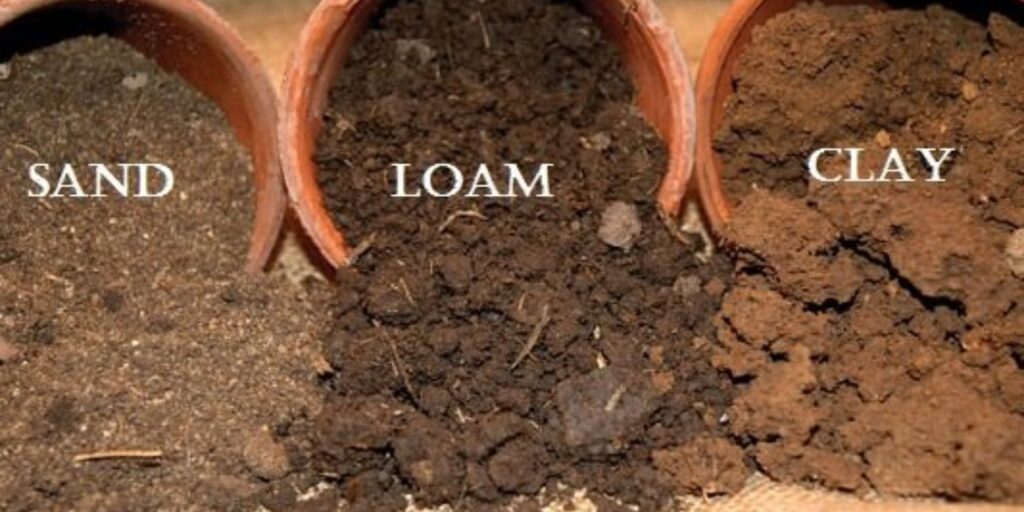 The Ultimate Guide to Loam Soil: What to Know for a Thriving Garden ...