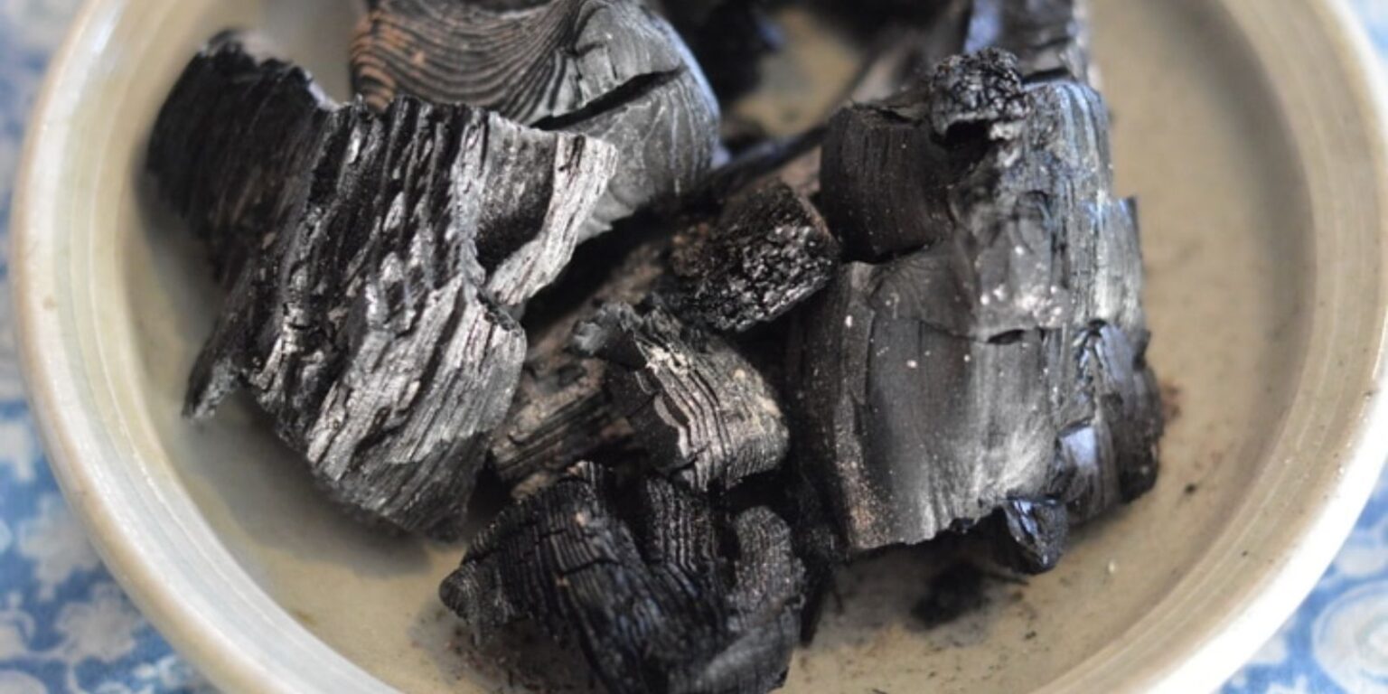 How to Make Biochar: A Complete Guide for Healthier Soil - Natural ...