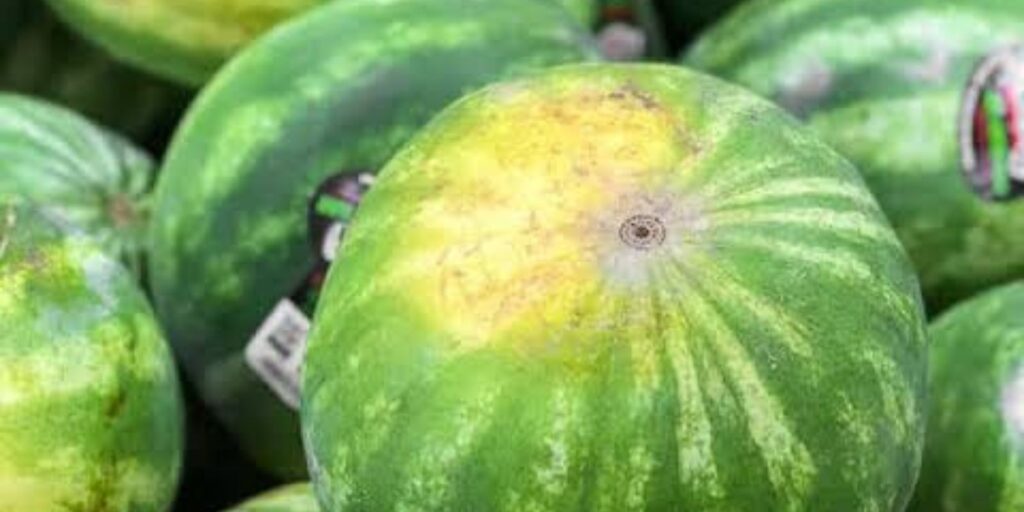 How to Pick a Perfect Watermelon: A Complete Guide to Choosing the ...