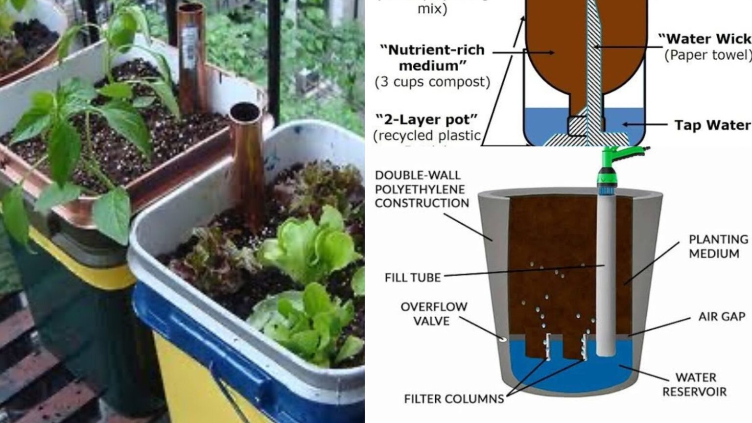 DIY Guide: How to Build Your Own Self-Watering Containers for a ...