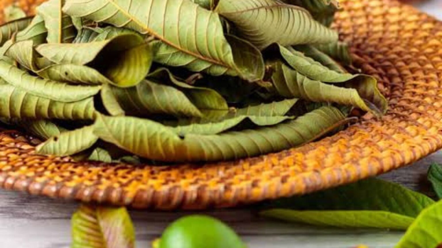 The Hidden Superpower of Guava Leaves: Health Benefits You Never Knew ...