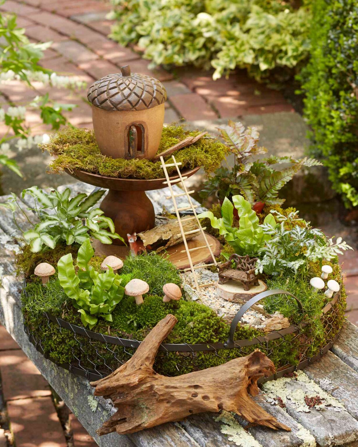 Try this amazing Fairy garden idea! - Natural Garden Tips