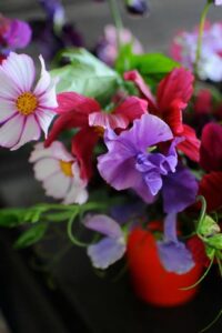 Simple tricks to How to plant flowers for beginners successfully ...