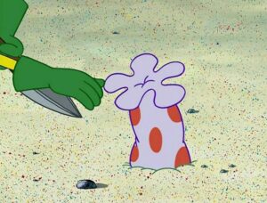Grow smarter with Spongebob flowers! - Natural Garden Tips
